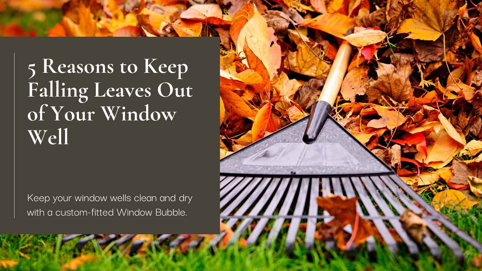 3 Reasons to Keep Falling Leaves Out of Your Window Well - Window Well ...